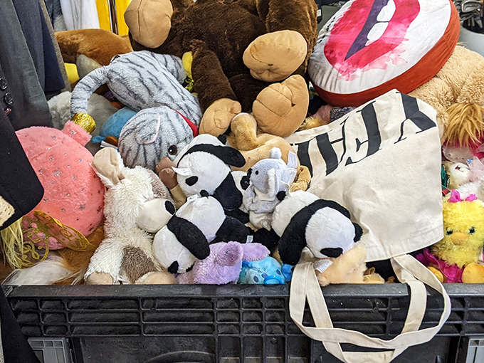 Stuffed animals await new hugs, proving comfort comes in all shapes, sizes, and price ranges.