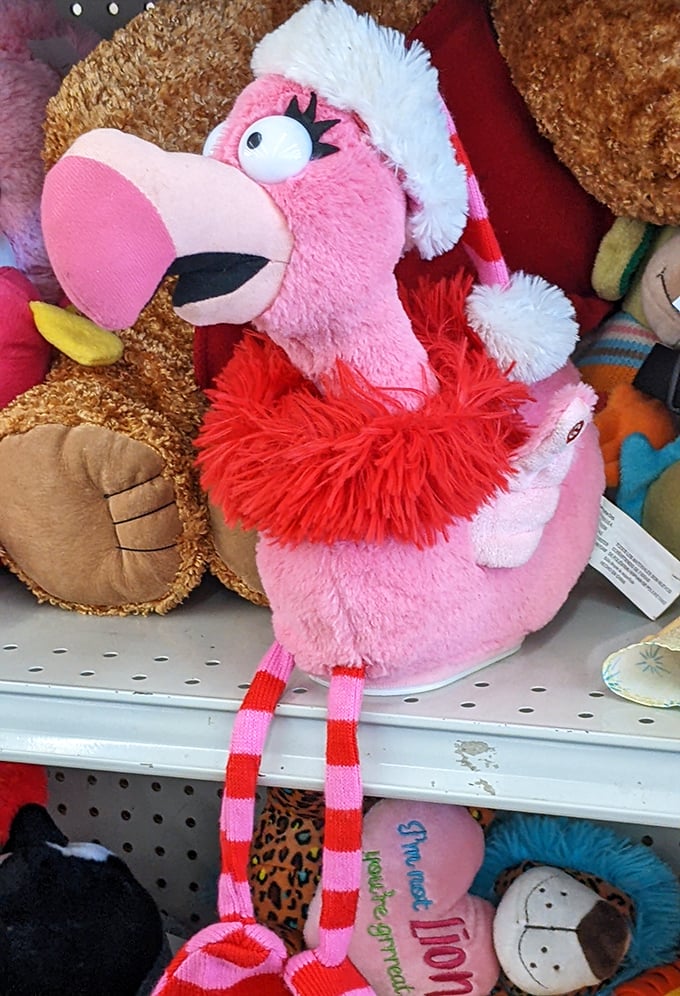 Plush personalities with stories to tell &ndash; this flamingo's ready for a second chance at being someone's favorite cuddle buddy.