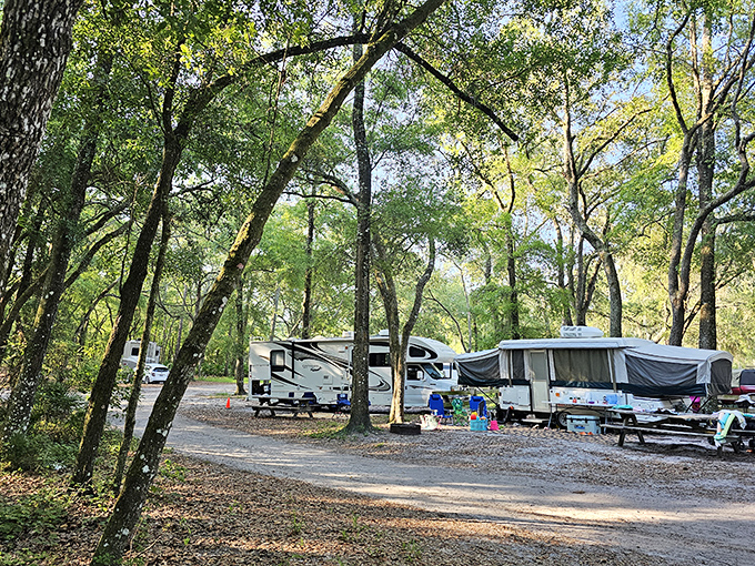 Glamping, Florida-style. These RV sites nestled among the trees offer all the comforts of home with wilderness just steps from your door.