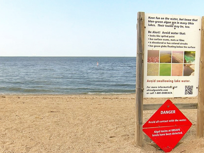 A sobering reminder that even paradise requires vigilance, as Lake Erie's occasional algal blooms remind visitors of our environmental responsibilities.