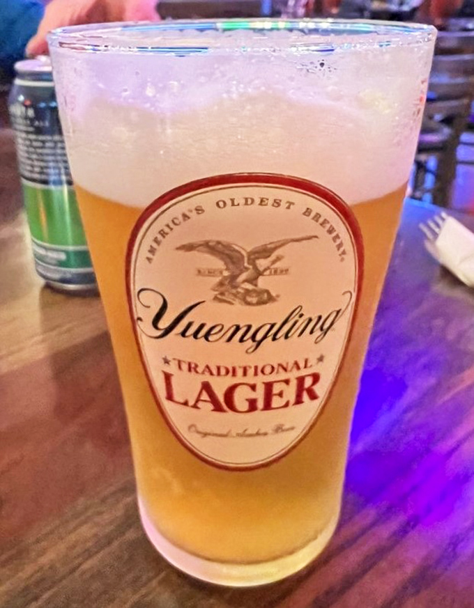 Nothing complements comfort food like a perfectly poured Yuengling. This golden elixir is the ideal companion for chicken-induced happiness.