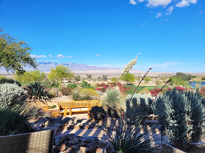 Desert gardening at its finest &ndash; proving that "barren wasteland" is just what people call places they haven't properly appreciated yet.