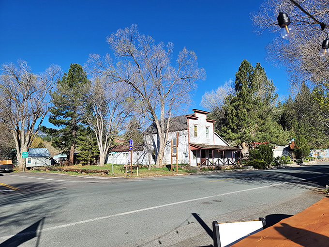 The changing seasons paint Markleeville in constantly shifting colors, with bare branches promising spring's inevitable return.