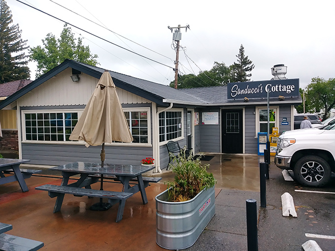 Sanducci's Cottage offers homestyle comfort in a cozy setting. The kind of place where the food fills your stomach without emptying your wallet.