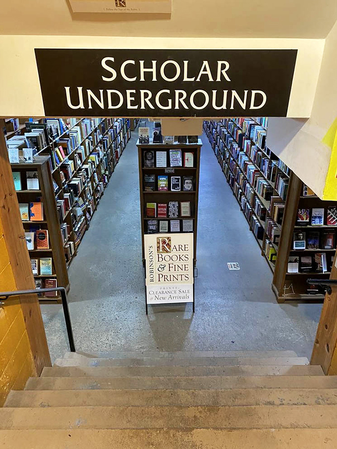 The "Scholar Underground" isn't where they keep rebellious books—it's a basement paradise of additional literary wonders waiting to be unearthed.
