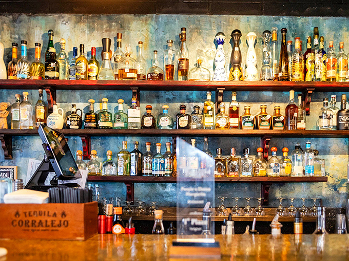 Behind the bar, an impressive tequila collection stands ready to transform ordinary afternoons into memorable coastal adventures.