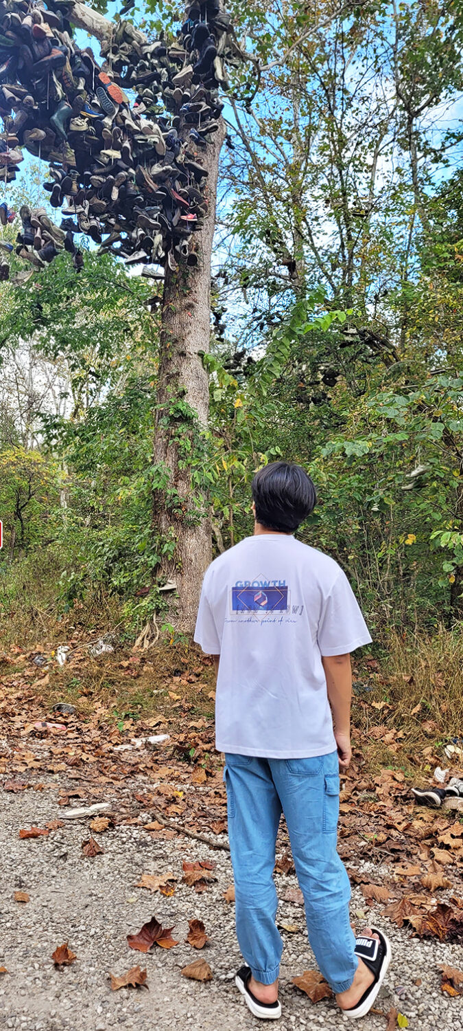 Visitors often pause in quiet contemplation, wondering about the stories behind each pair of shoes suspended in arboreal limbo.