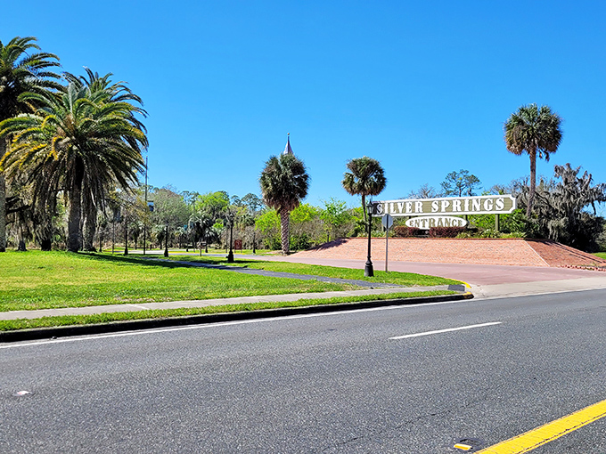 This unassuming entrance sign marks the threshold to one of Florida's most magical natural wonders. Don't let the simplicity fool you.