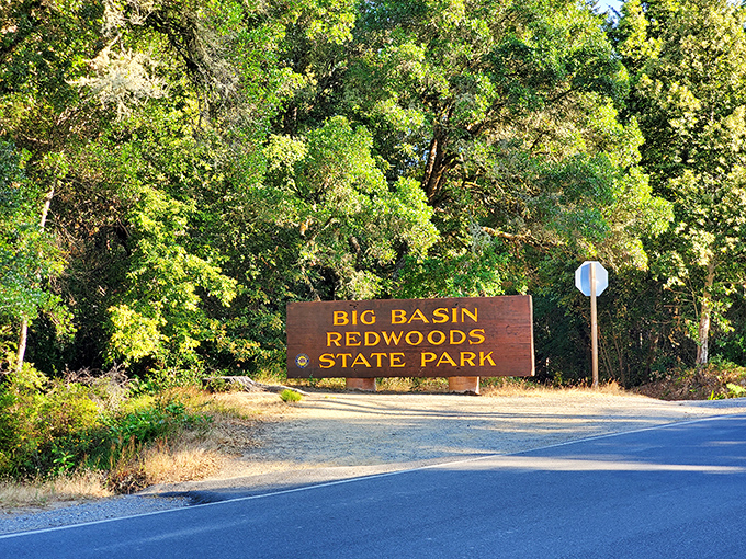 The entrance sign promises adventure beyond the ordinary. Crossing this threshold means trading digital notifications for nature's more meaningful alerts.
