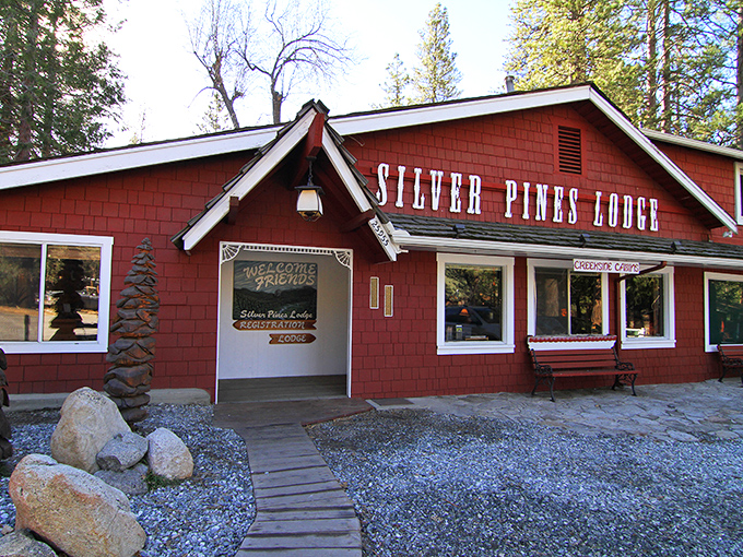 Silver Pines Lodge welcomes friends with rustic charm. The kind of place where check-in feels more like coming home than renting a room.