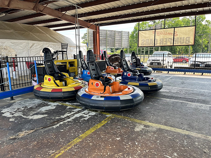 Bumper cars await their next drivers, promising the kind of wholesome family fun that creates memories more lasting than any digital entertainment ever could.