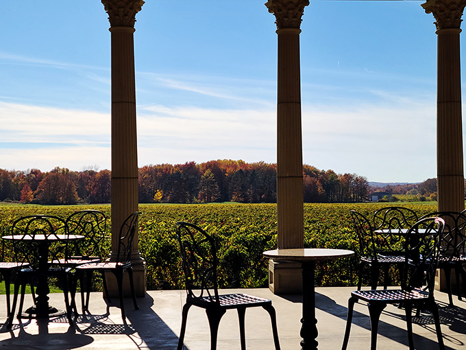 At South River Vineyard, those columns frame more than just vineyard views&mdash;they're portals to conversations that improve with every sip.