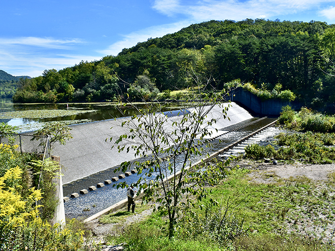 Engineering meets nature at the park's spillway. This concrete structure manages water flow while providing an unexpected spot for contemplative moments.