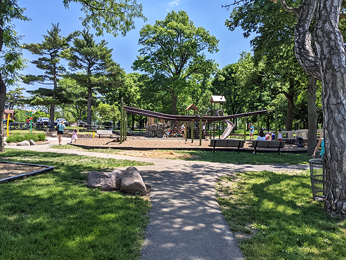 Playground equipment that invites both adventure and the occasional parental heart palpitation. "Be careful" has been uttered here approximately 8 million times.
