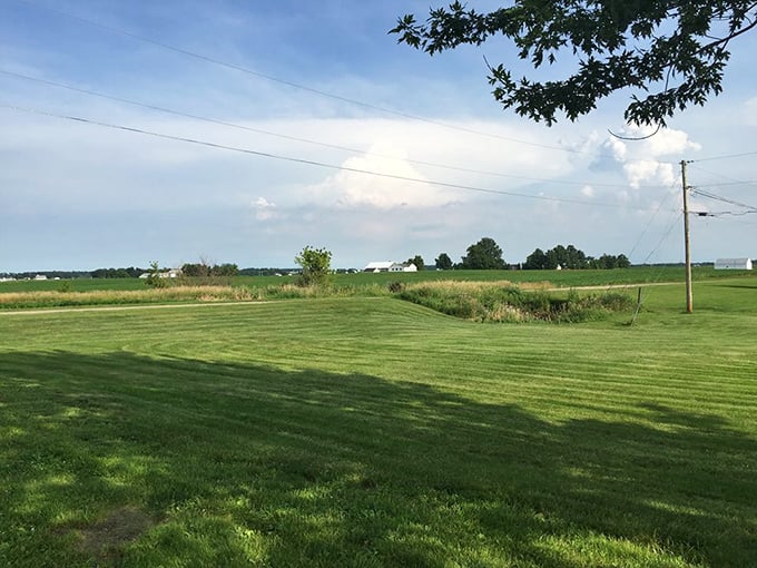 Nature's screensaver in real life. The serene waters and manicured grounds offer a meditation space more effective than any mindfulness app.