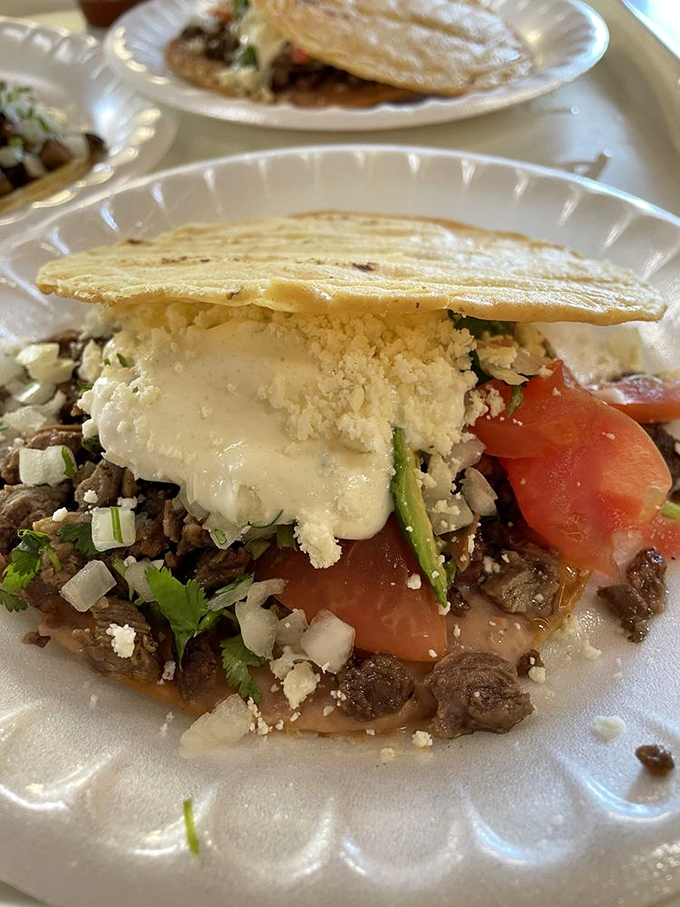 This tostada doesn't just sit on the plate—it commands attention with its architectural layers of beans, meat, cheese, and vegetables in perfect harmony.