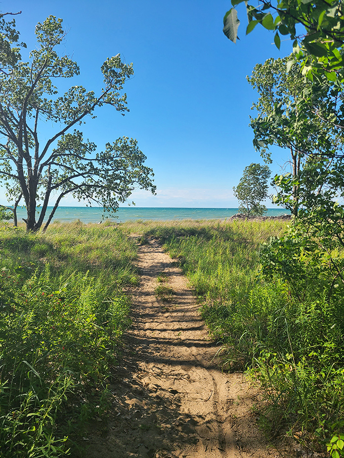 Nature's invitation: a sandy path through vibrant greenery leads to the blue promise of Lake Erie's refreshing waters.