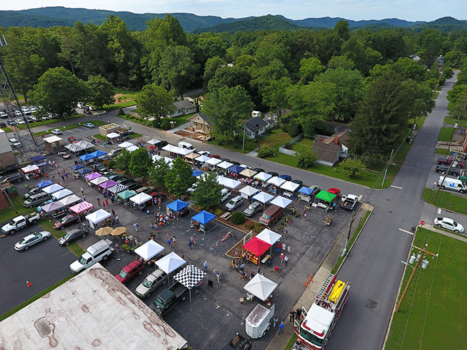 The Transylvania Farmers Market buzzes with local energy, a community gathering where the produce is fresher than most people's dance moves.