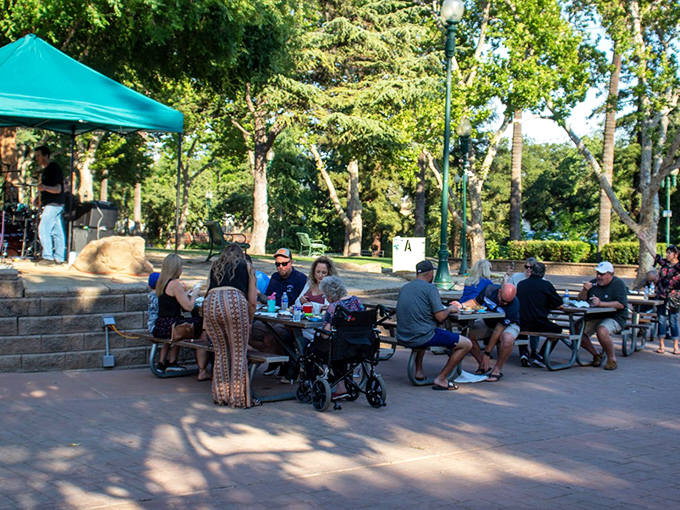 Community gatherings in the park – where strangers become neighbors over shared meals and conversation under the dappled shade of ancient trees.