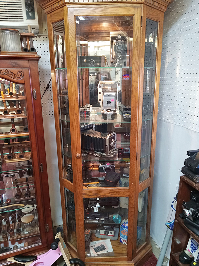 Vintage cameras stand like technological time capsules in this elegant display case, each with stories of moments frozen in time.