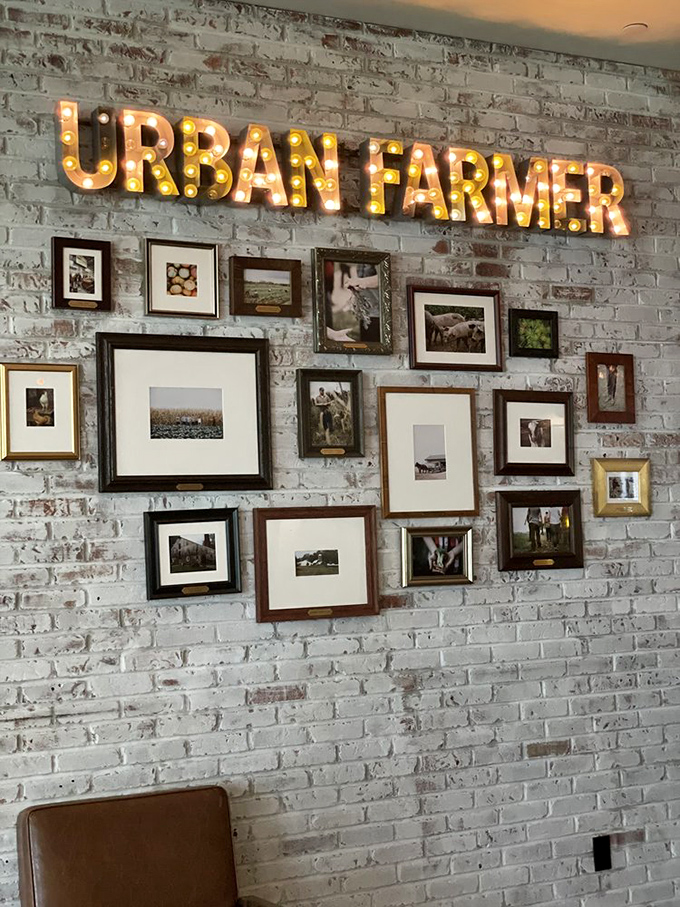 Not just decoration&mdash;this wall tells the story of agricultural heritage with vintage photographs beneath the glow of marquee lighting.
