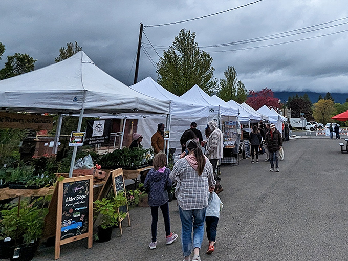 Farmers' market under moody skies&mdash;where shopping local means standing in the shadow of mountains. Talk about atmosphere!