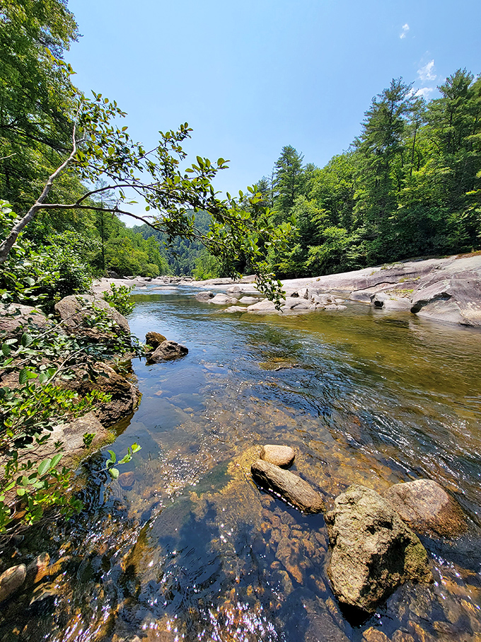 Wilson Creek's crystal waters offer nature's perfect soundtrack&mdash;the original noise-canceling experience for minds needing a reset.