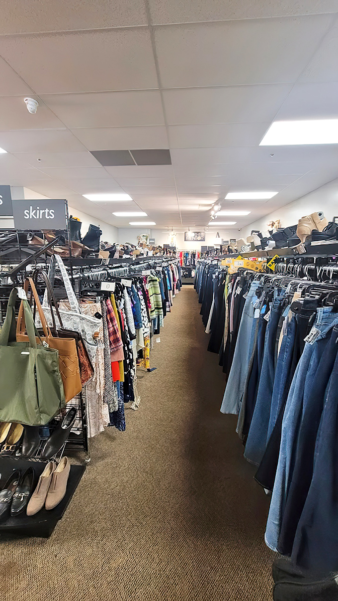 Not just organized—curated. The denim section alone could convert even the most dedicated mall shopper to thrift life.