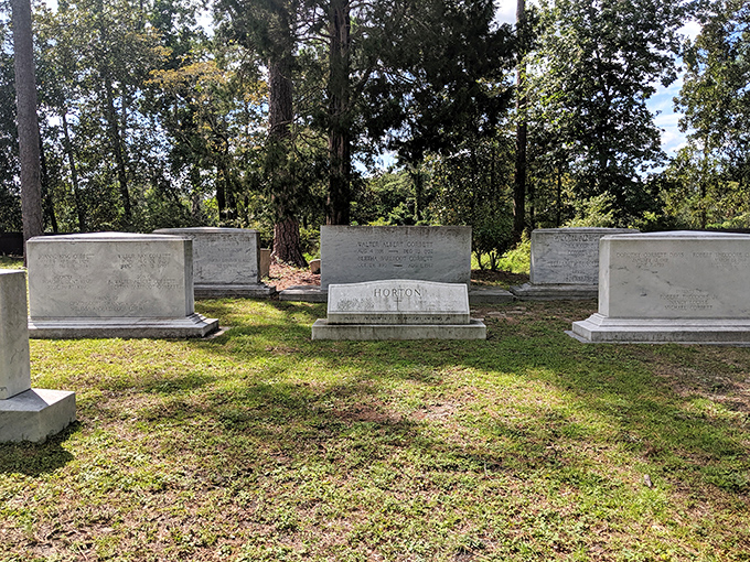 History rests peacefully beneath the pines in this small cemetery, where moss-tinged headstones whisper stories of Wilmington's past.