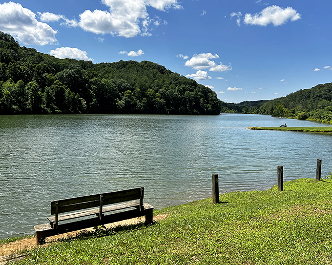 This lakeside bench isn't just furniture&mdash;it's front-row seating to nature's most reliable show, running daily since the Ice Age.