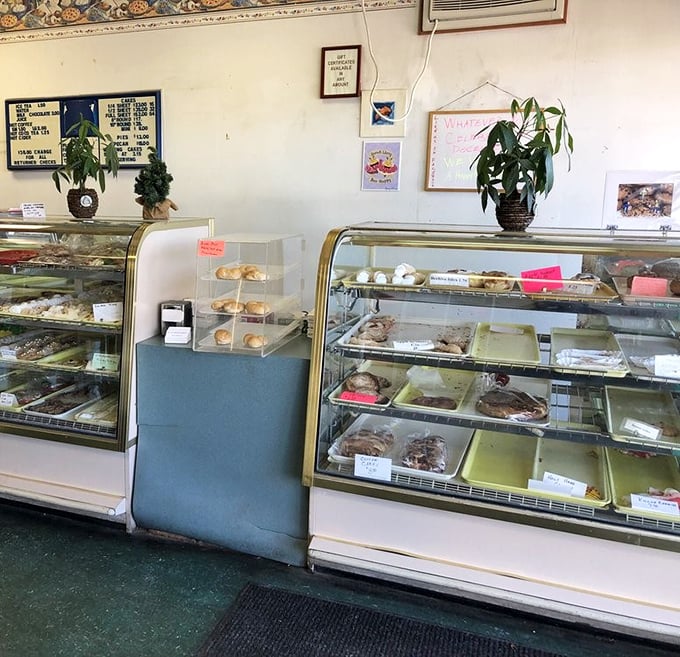 Display cases that have witnessed thousands of pointing fingers and "I'll take that one" moments throughout Columbus's sweet-toothed history.