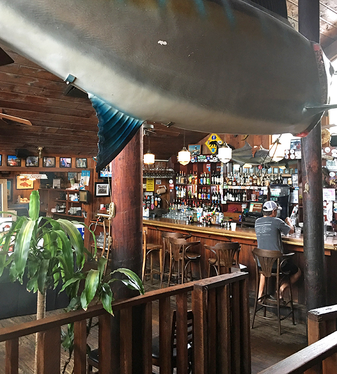 The bar area, where locals have been solving the world's problems over cold drinks since before Instagram was even a concept.