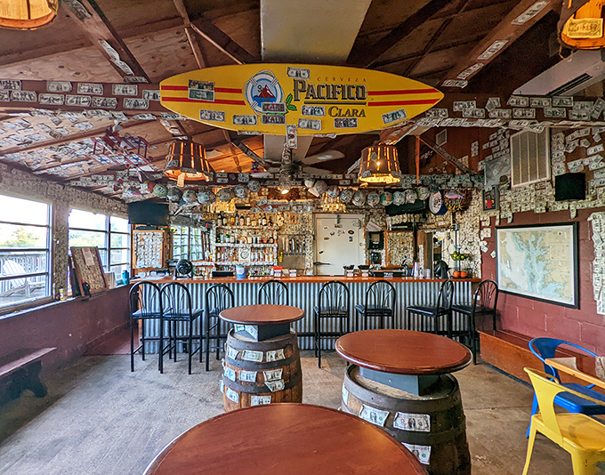 A bar where dollar bills aren't tips—they're wallpaper. That surfboard has never seen water, but it's witnessed countless food epiphanies.