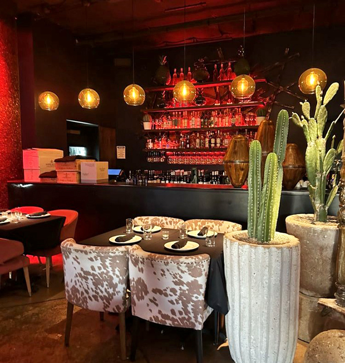 The bar area combines cowhide chairs, potted cacti, and amber lighting to create the perfect backdrop for tequila-based decision making.