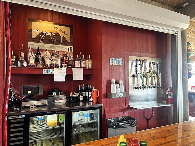 A bar that doesn't need mixologists with waxed mustaches. Just cold beer, honest pours, and a view that beats any fancy cocktail lounge in town.