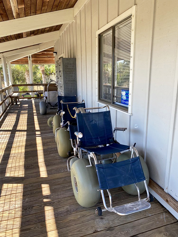 Beach accessibility done right. These specialized wheelchairs prove that paradise should be available to everyone, not just those steady on sand.