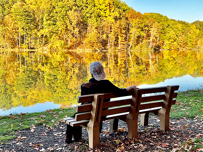 The best therapy session in Ohio costs nothing: just a bench, a lake, and permission to sit still longer than society usually allows.