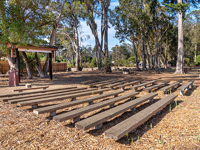 This rustic amphitheater among the trees hosts ranger talks where you'll learn fascinating facts that will make you the hero of future dinner parties.