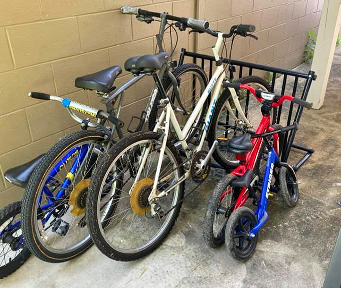 Bicycles lined up like mechanical horses, each one promising freedom and fresh air adventures ahead.