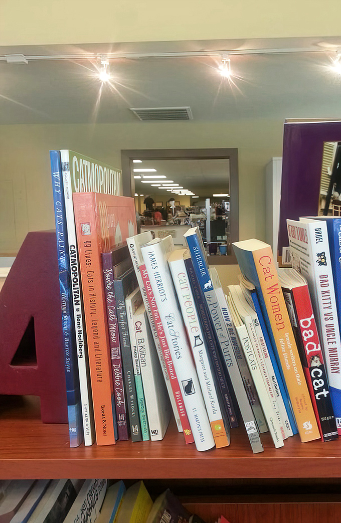 Bookworms can lose themselves in these shelves. From cat care to culinary adventures, these pre-loved pages are ready for their next reader.