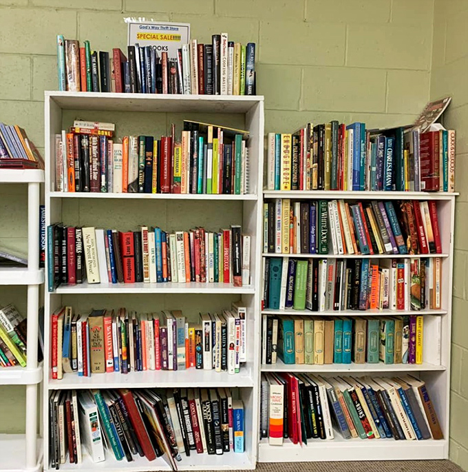 Bookworm paradise where literary treasures hide between worn covers, waiting for readers who understand that stories improve with previous ownership.