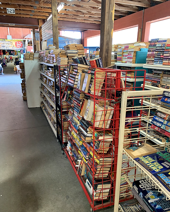 Bookworms rejoice! These stacks of literary treasures prove that despite digital domination, the printed page still reigns supreme for bargain hunters.