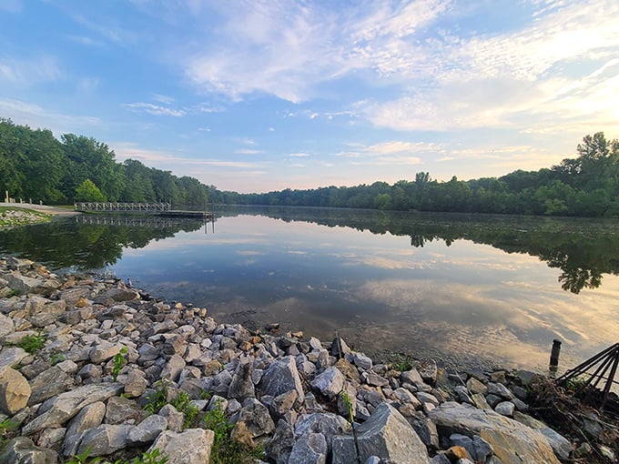 Dawn's golden light transforms Beall Woods' lake into liquid amber. Serenity doesn't get more picture-perfect than this.