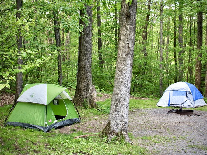 Camping at Black Moshannon: where your temporary fabric home makes you feel like a wilderness pioneer, but with better sleeping bags.