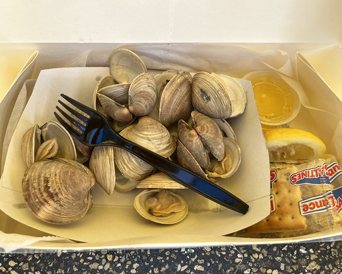These clams didn't travel far to reach your plate. Ocean-to-table dining at its most literal and delicious.
