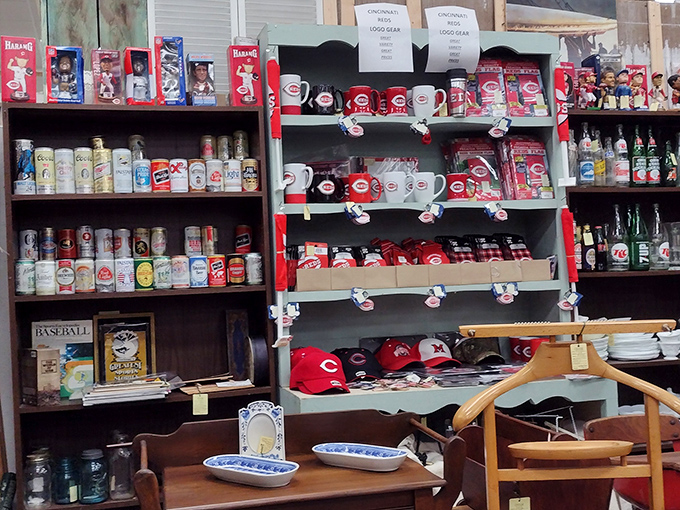 Shelves of memories where someone's prized collection becomes your next conversation starter at dinner parties.