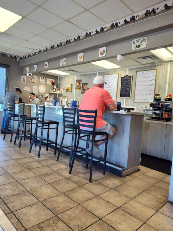 The counter seating offers front-row tickets to the breakfast theater where culinary magic happens daily.