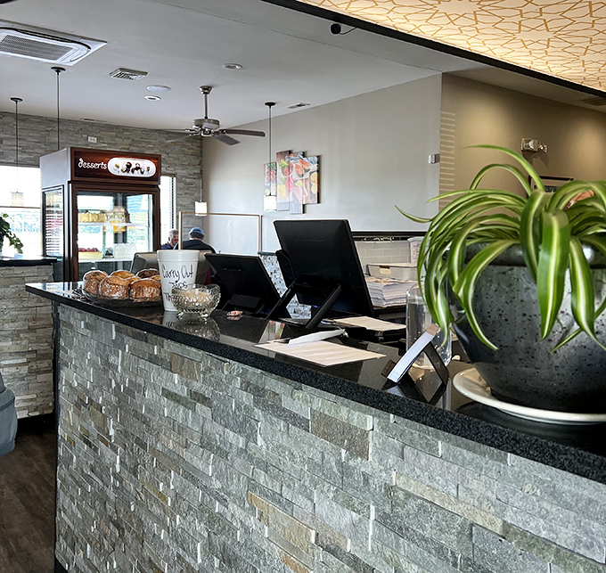 Modern touches meet classic diner aesthetics at the counter, where potted plants add a touch of green to the sleek stone and warm lighting.