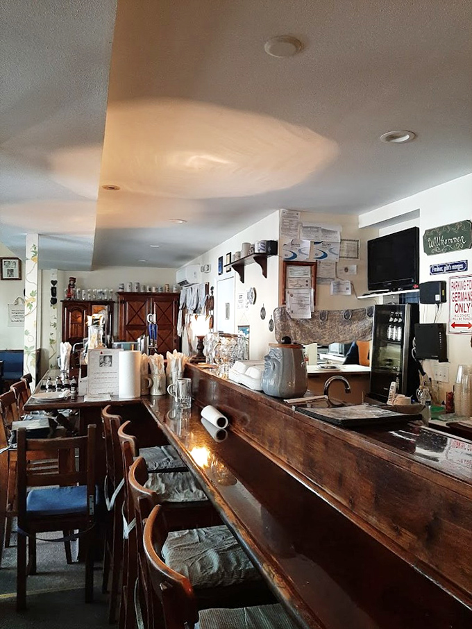 The bar area feels like the living room of that cool German relative who always has the best stories and even better beer.
