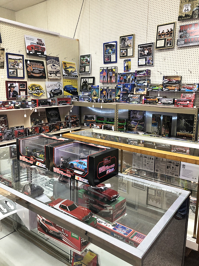 Die-cast dreams and miniature memories&mdash;this collection of model cars would make any automotive enthusiast's heart race faster than a Mustang.